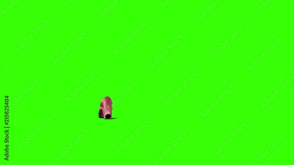 Giant Worm Monster Crawl Green Screen 3D Rendering Animation Stock 비디오 ...