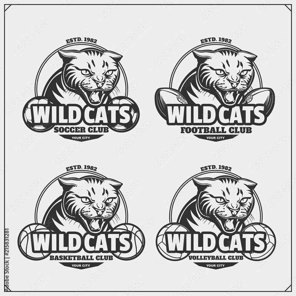 Volleyball, baseball, soccer and football logos and labels. Sport club ...
