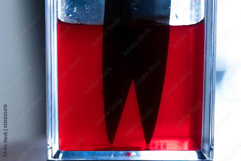 blood-red liquid in a transparent container illuminated from the back ...