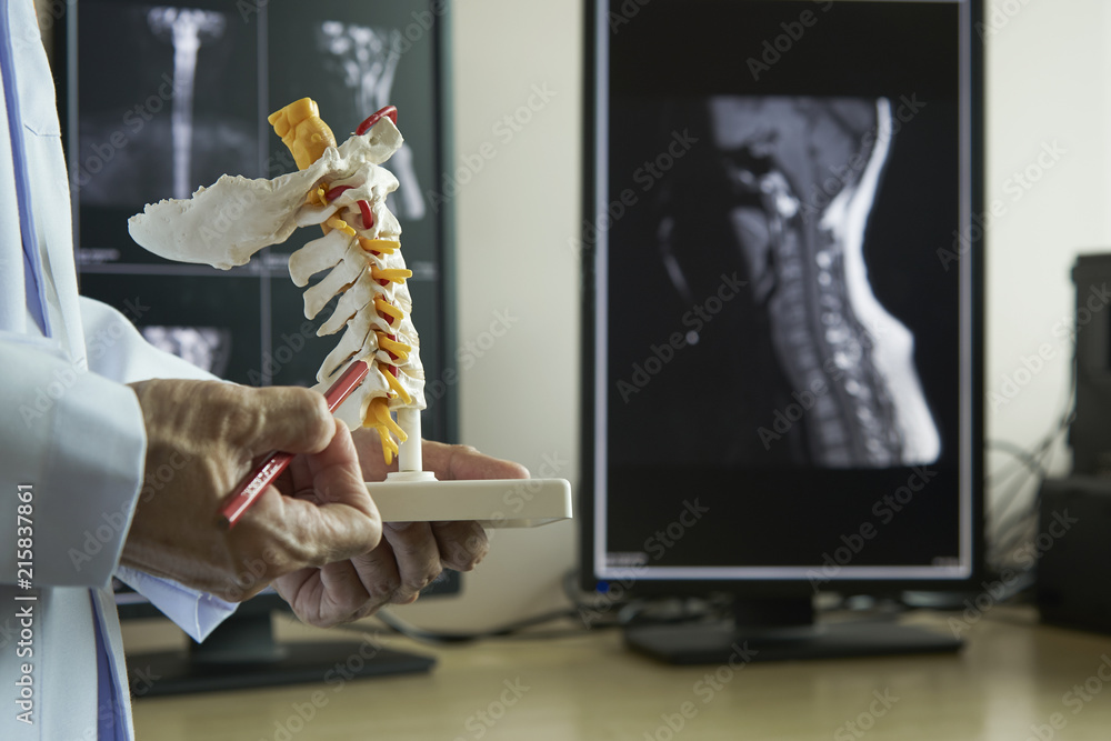 Fotografía A neurosurgeon pointing at cervical spine model, Teeradej ...