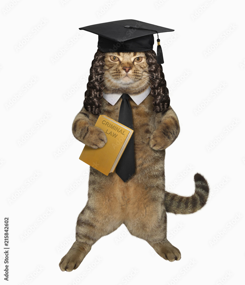 The cat professor in a square academic hat is holding a book " criminal ...