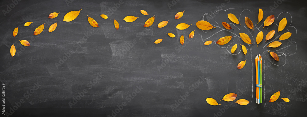 Back to school concept. Top view banner of pencils next to tree sketch ...