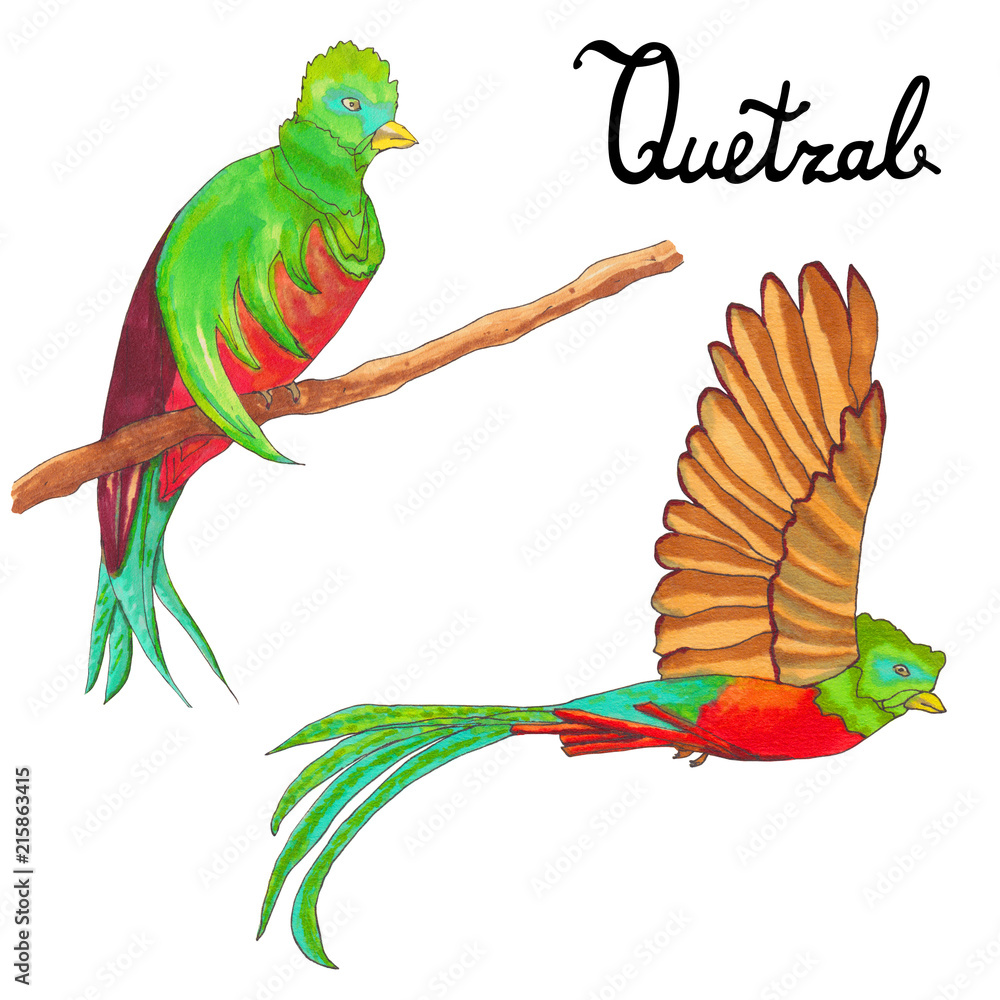 Quetzal Open Wings