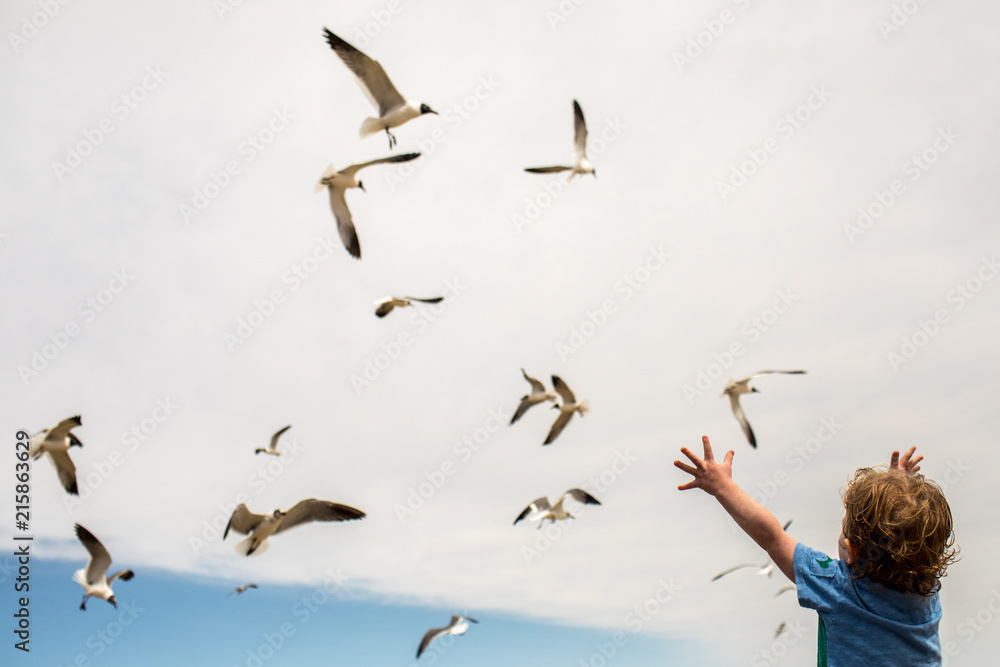 Foto Stock Birds flying around with boy's hands in air | Adobe Stock