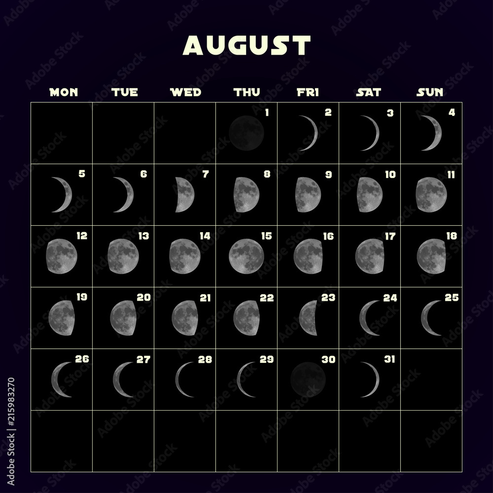 Moon phases calendar for 2019 with realistic moon. August. Vector ...