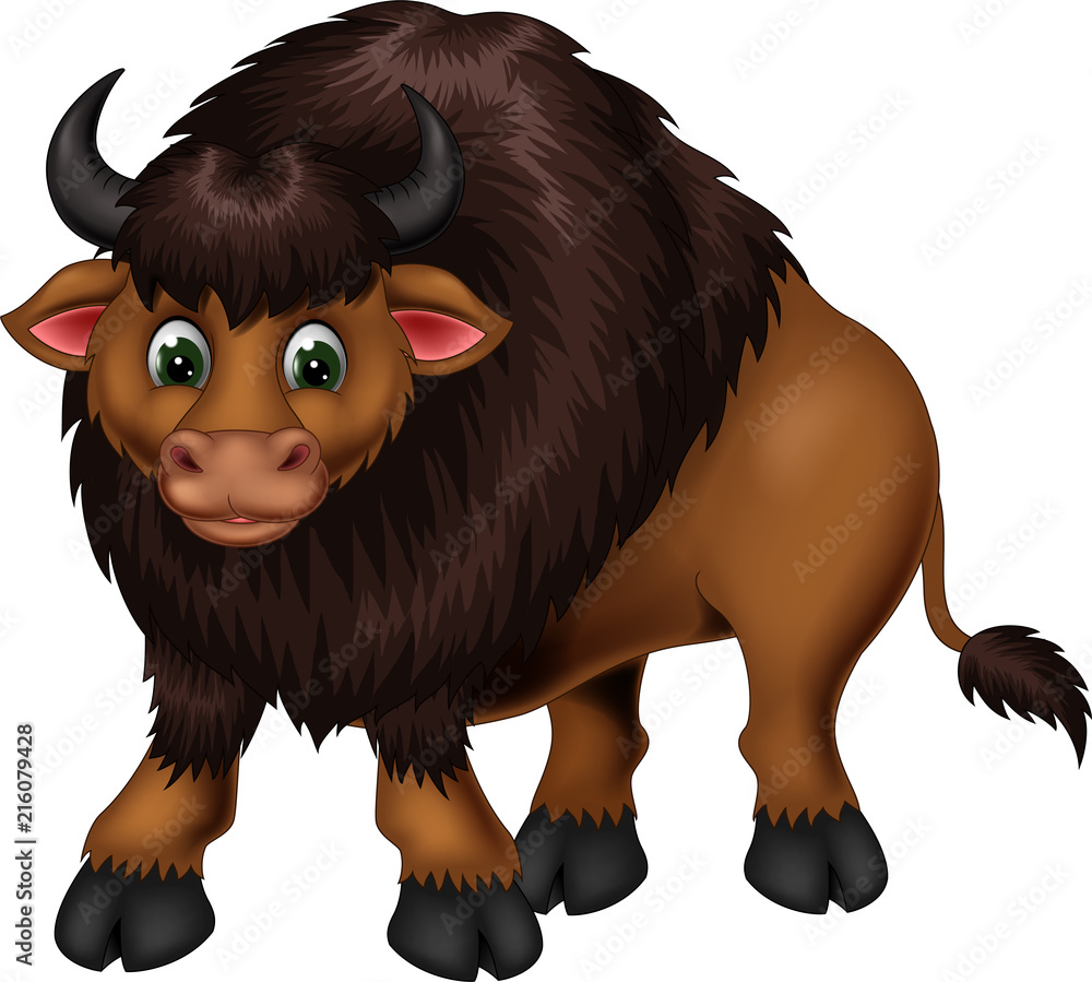 funny bison cartoon standing with laughing on white background Stock ...