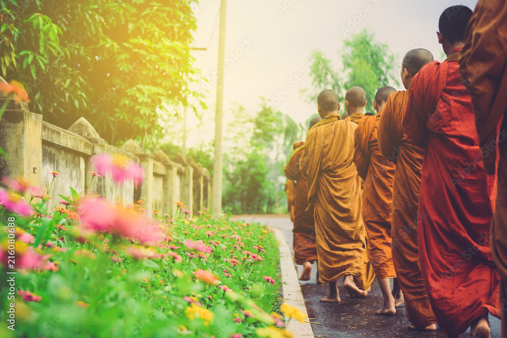 Buddhist Monks Walking
