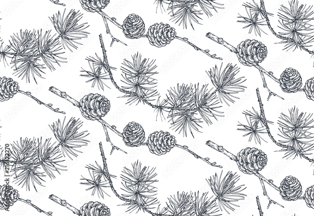 Vector background with hand drawn conifers trees in sketch style. Stock ...