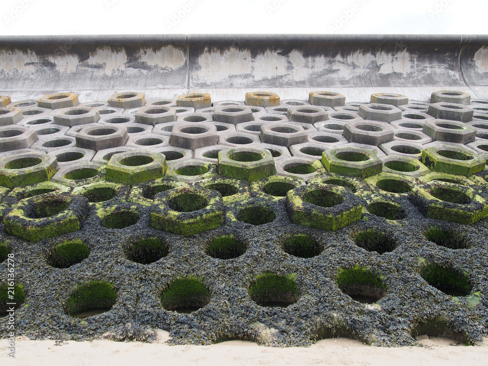 concrete defensive sea wall on a sandy beach showing seaweed on the ...