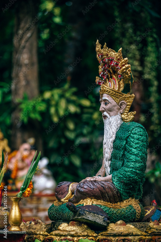 Asian Monk Beard
