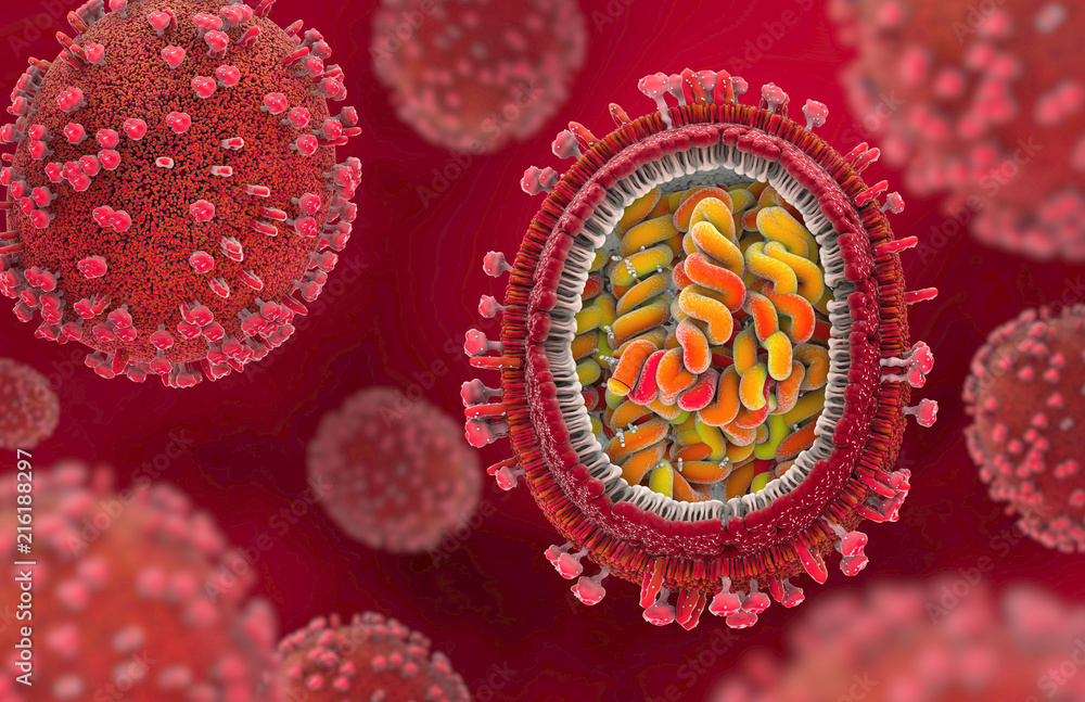 3d illustration of a scientifically correct representation of a flu ...