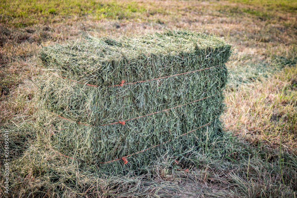 Square Hay Bale Dimensions English