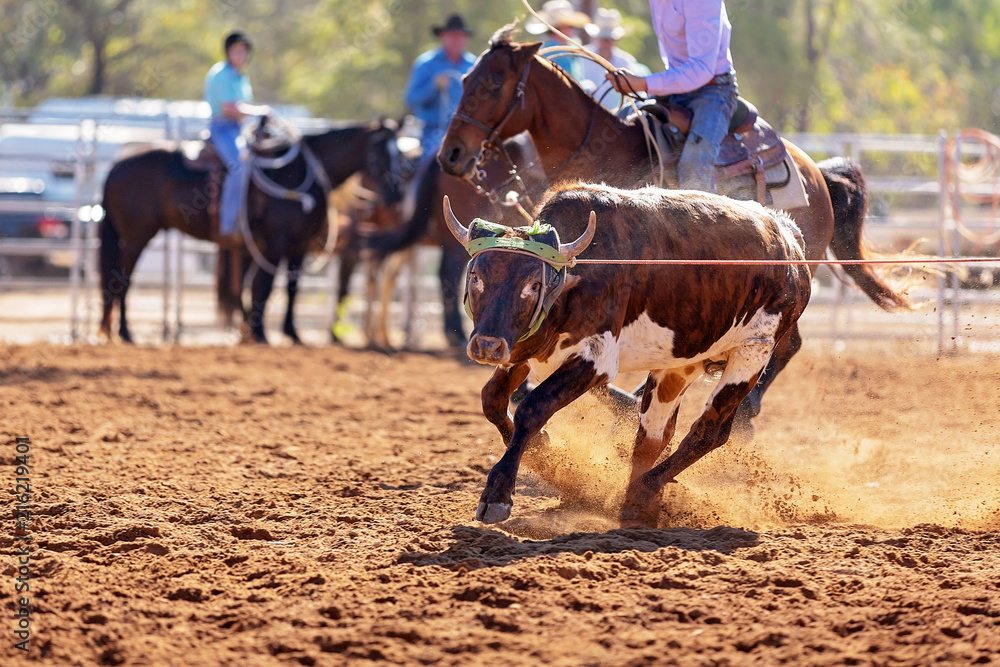 Photo & Art Print Australian Team Calf Roping Rodeo Event, Jackson ...