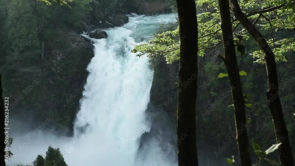 Salto del Puma waterfall, located in the Huilo-Huilo Biological Reserve ...