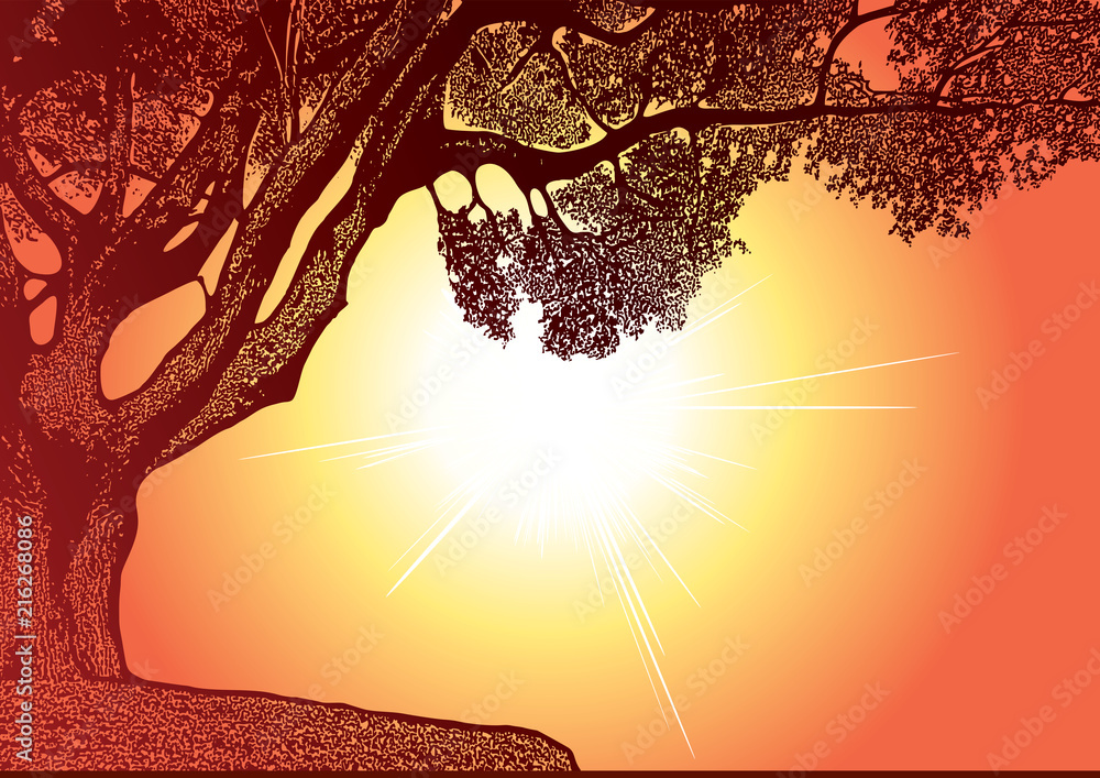 Sunny landscape with beautiful tree silhouette and bright light rays ...