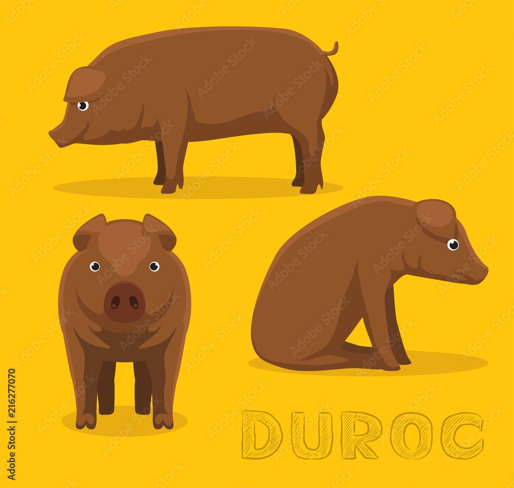 Pig Duroc Cartoon Vector Illustration Stock Vector | Adobe Stock