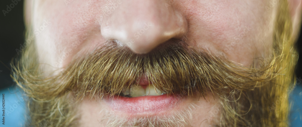 Smile with Mustache Close Up. Part of the Face of a Bearded Man Stock ...