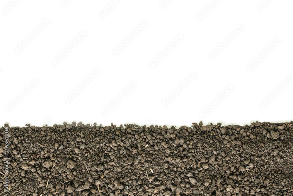 soil ground texture plant background Stock Photo | Adobe Stock