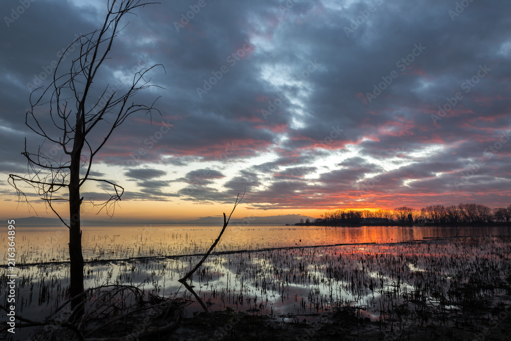 Moody lake shore at sunset, with sun light reflecting on water, and ...
