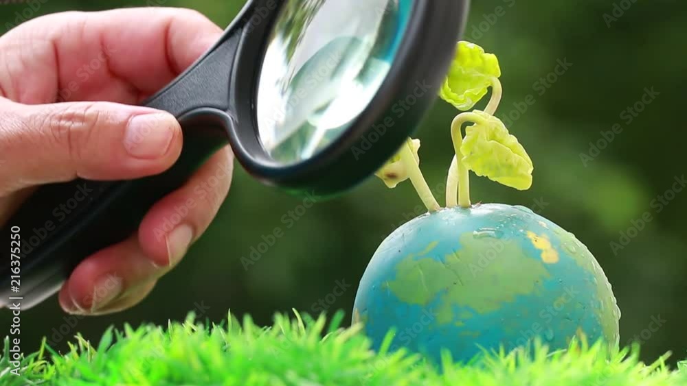 Magnifying glasses for studying or researching seeding plant on Globe ...