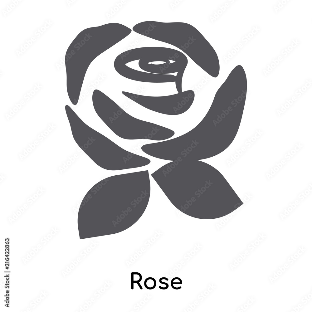 rose icon isolated on white background. Modern and editable rose icon ...