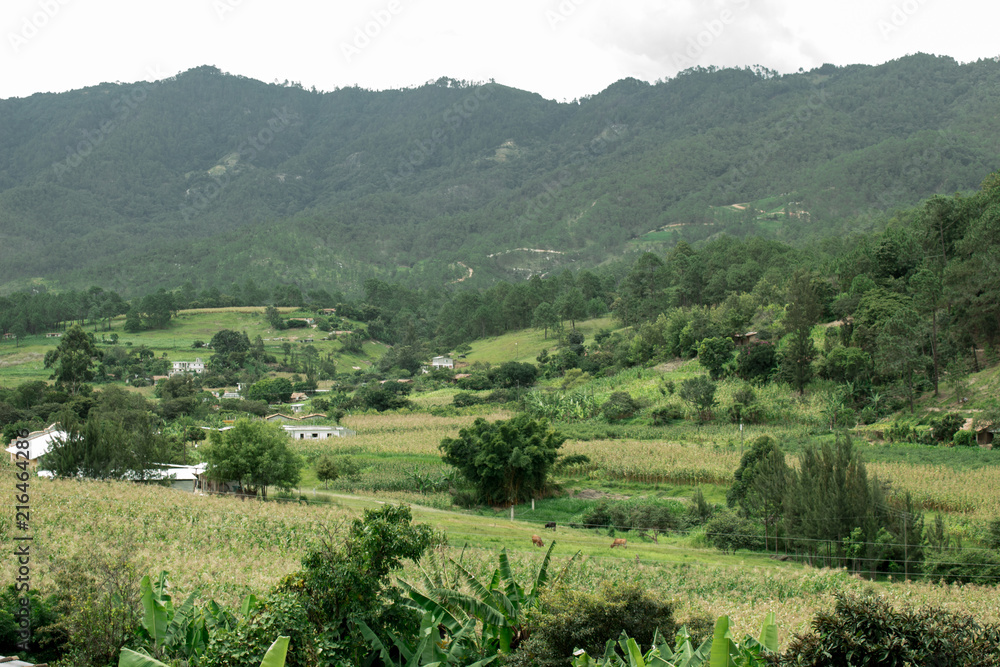 paisajes joyabaj Quiche Guatemala foto de Stock | Adobe Stock