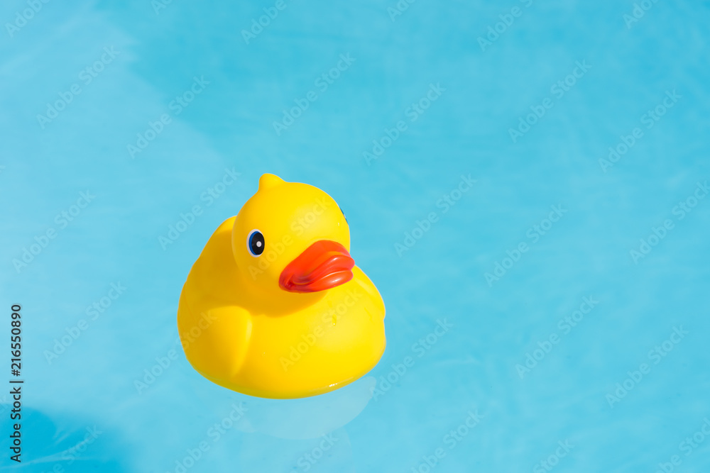 A single yellow rubber duck floats in a paddling pool Stock Photo ...