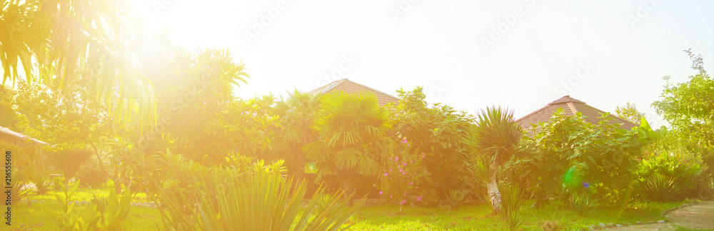 Banner Summer background Tropical Resort hotel Bright sunny colors ...
