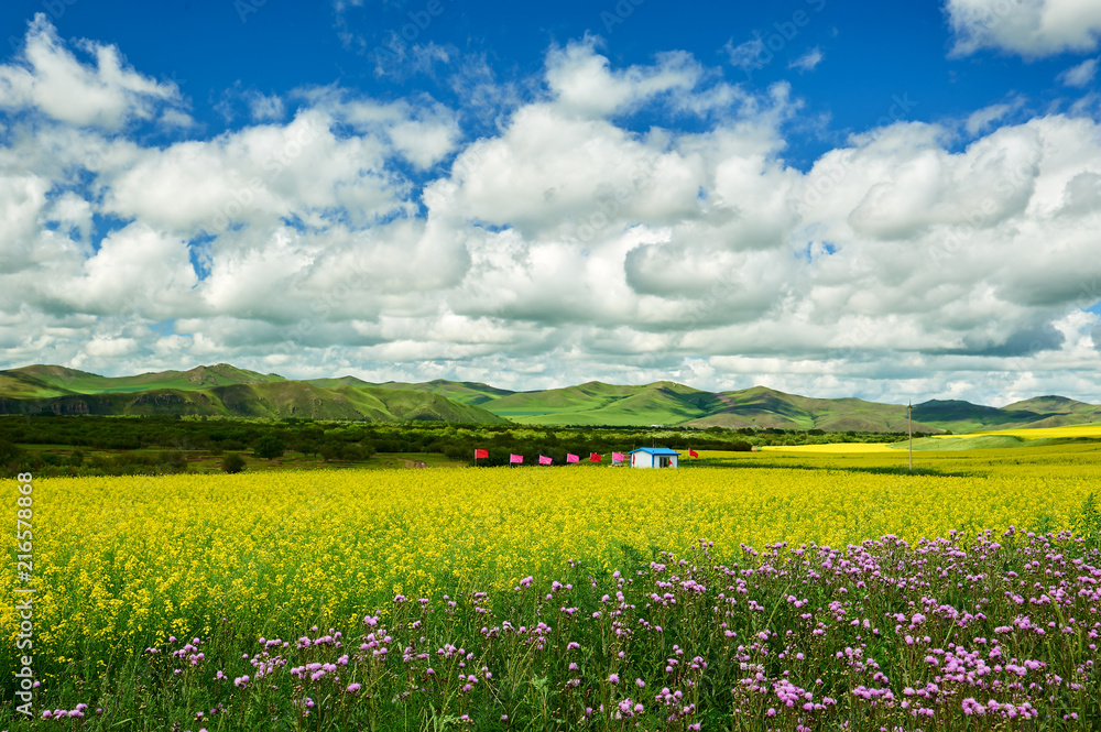 Hulunbuir grasslands of inner Mongolia. Stock Photo | Adobe Stock