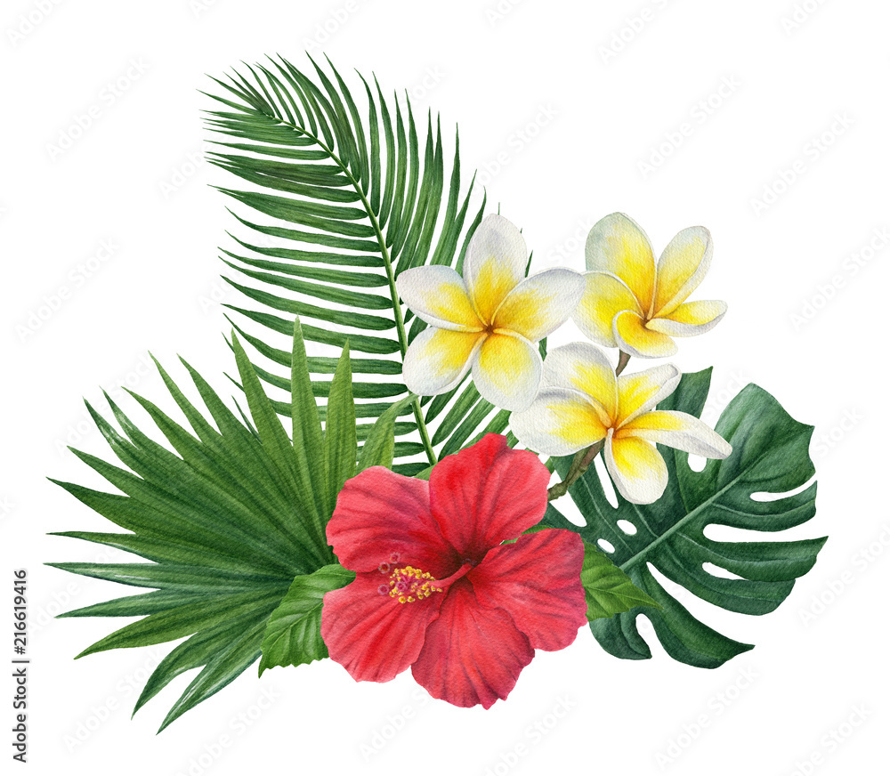 Hand painted watercolor tropical bouquet: monstera, palm leaves ...