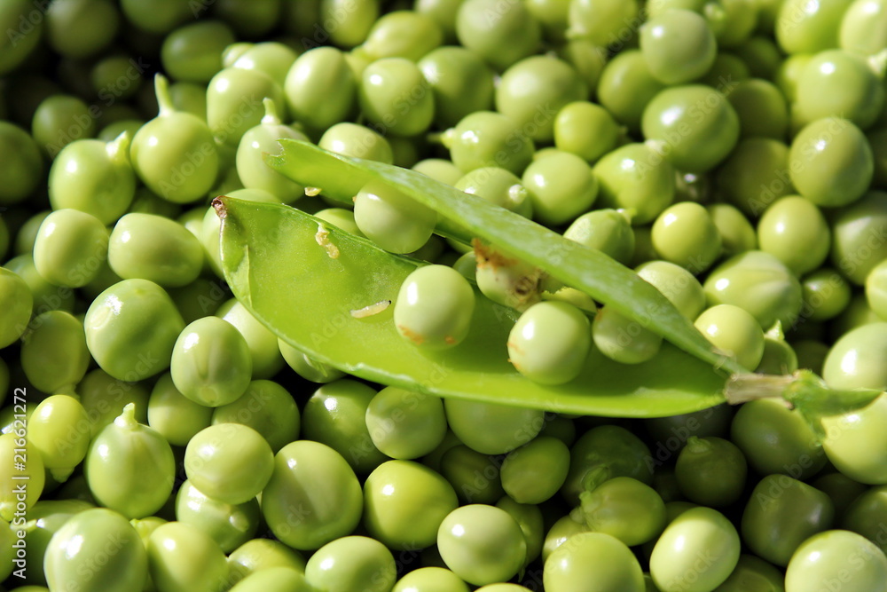 worm is in the inside of a pod of green peas Stock Photo | Adobe Stock