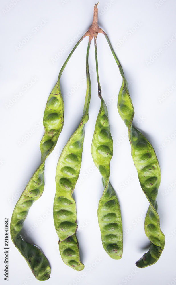 stink bean , bitter bean , parkia speciosa ( petai ), twisted cluster ...