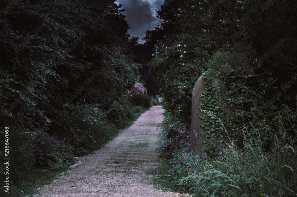Path that goes into a dark cemetery full of trees and plants at night ...
