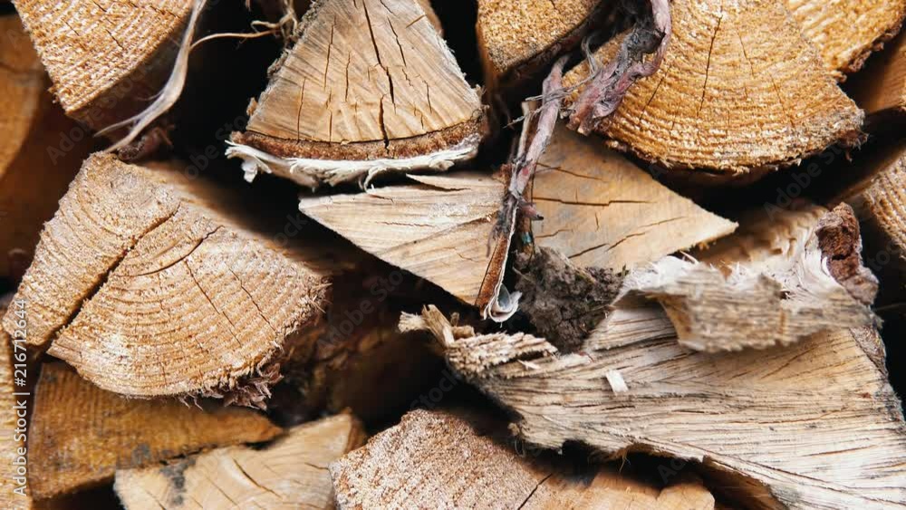 The chopped and sawn trunks of trees is stacked in a large log woodpile ...