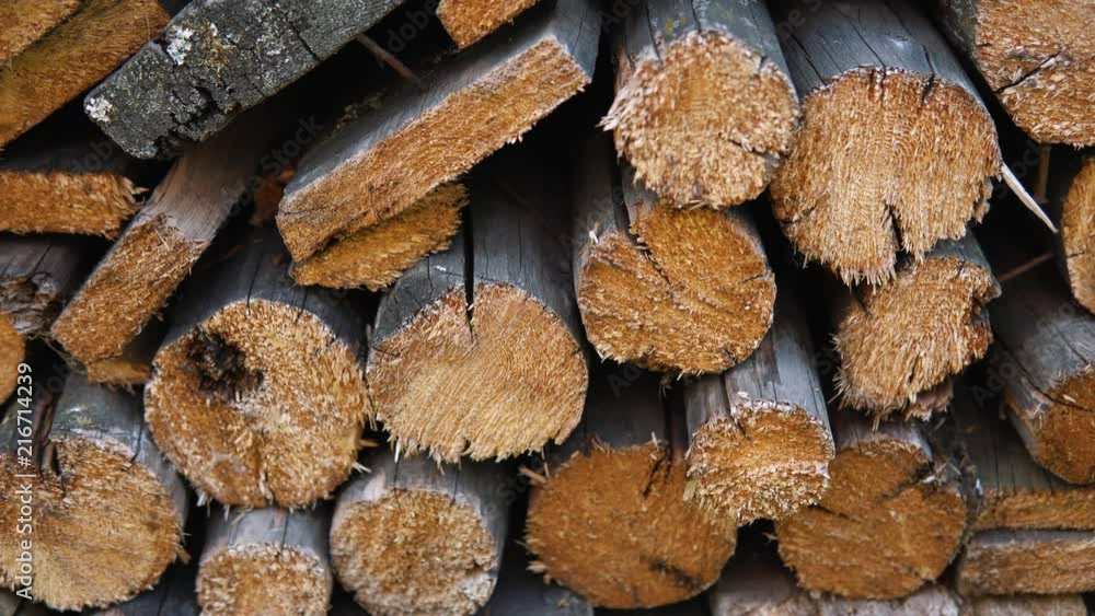 Vidéo Stock The chopped and sawn old trunks of trees is stacked in a ...