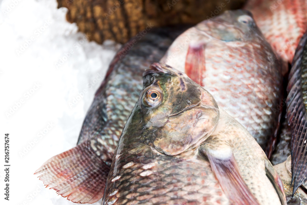 Tilapia fish in Thailand local market Stock Photo | Adobe Stock