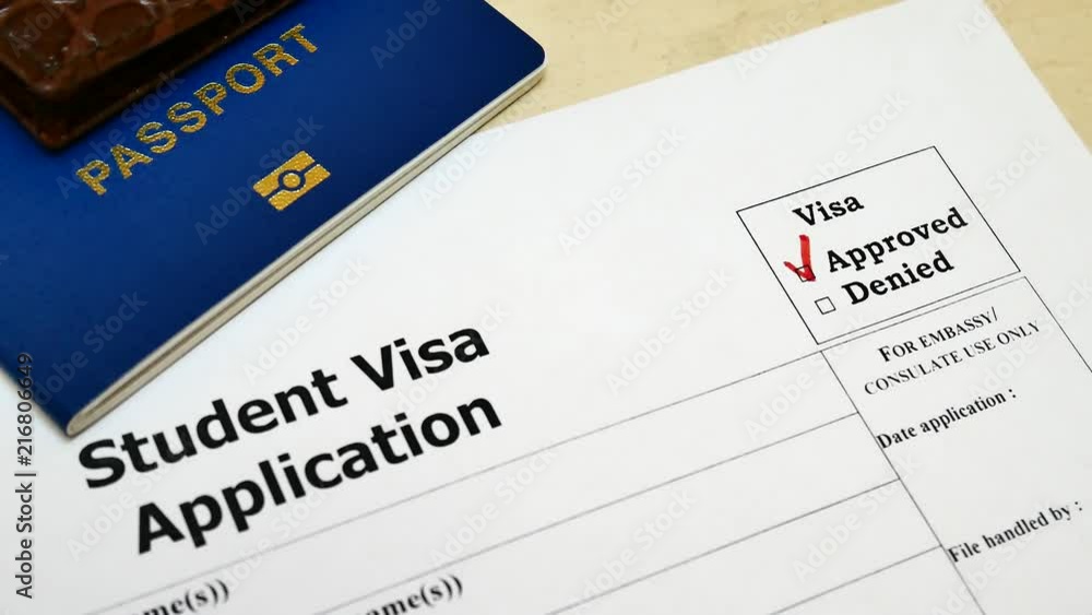 Decision to grant a visa. Pen voting approved in checkbox in blank ...