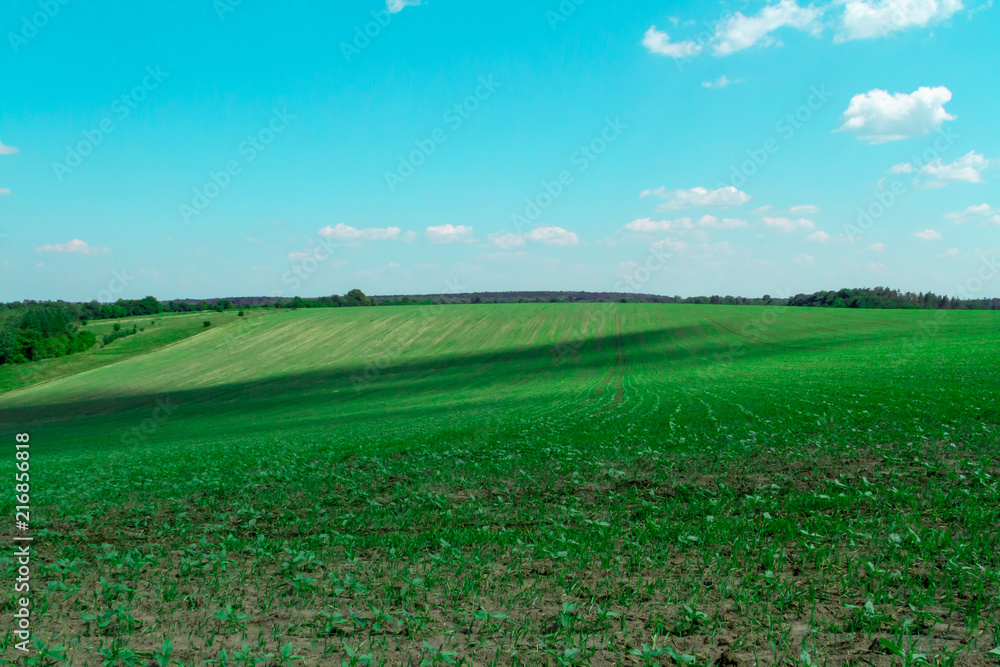 A bright green field on a hillside with a gentle blue sky and white ...