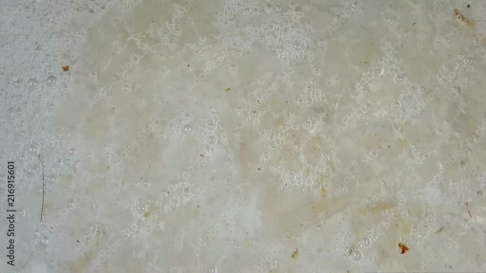 Synthetic nylon and plastic fibers released as deteriorating ...