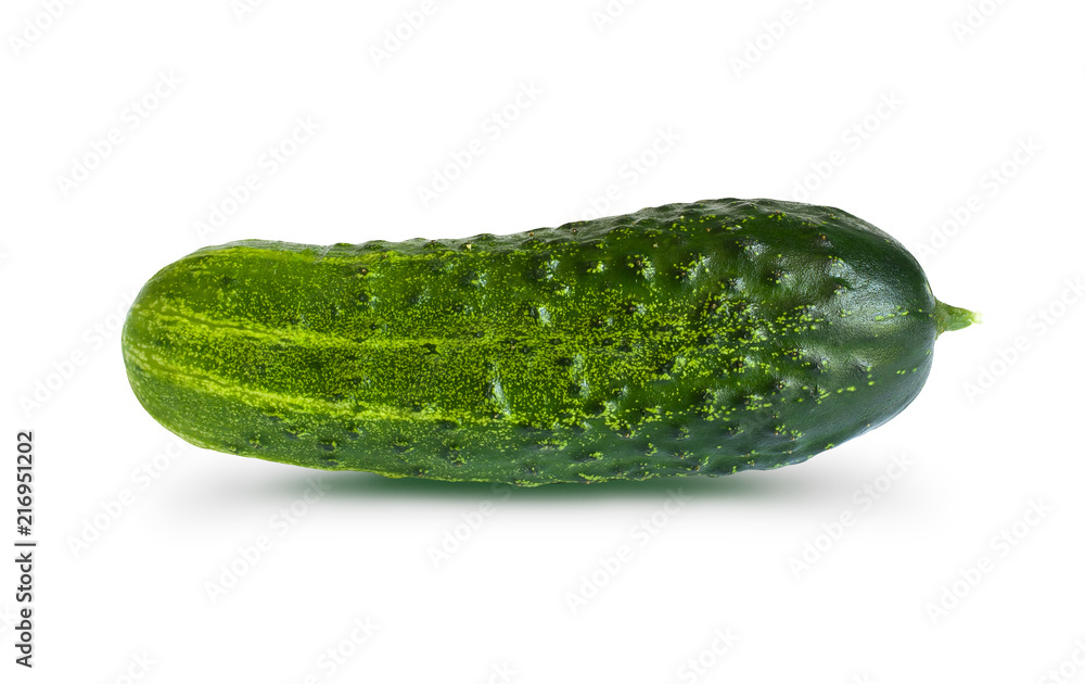 One big cucumber isolated on white background. Fresh whole vegetable ...