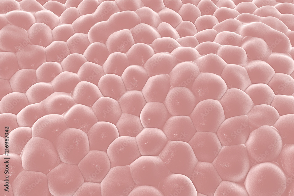 Layer of cells, 3D illustration, research background perfect to ...