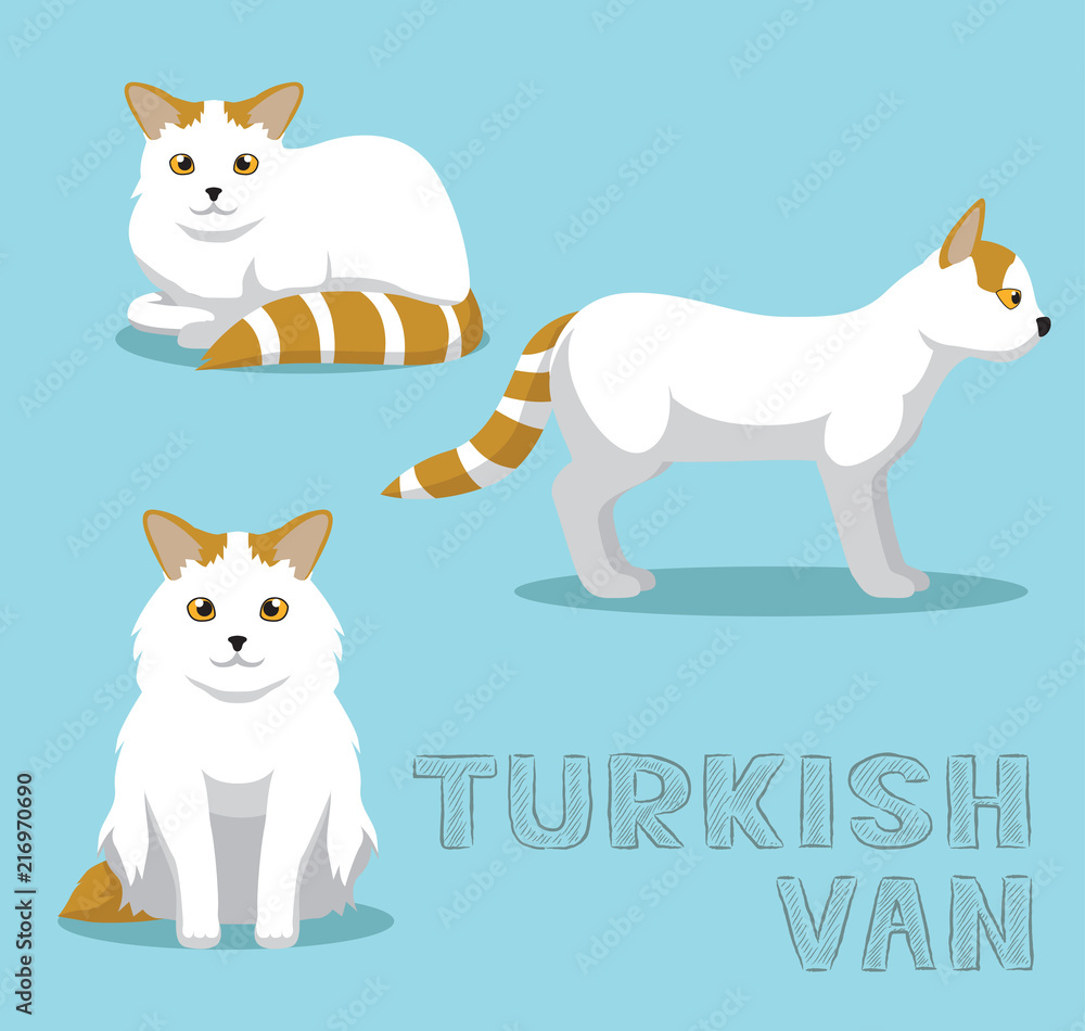 Cat Turkish Van Cartoon Vector Illustration Stock Vector | Adobe Stock