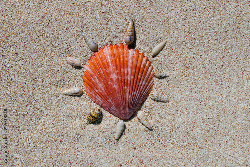 Texture of a red beautiful sun with rays shaped with conch shells from ...