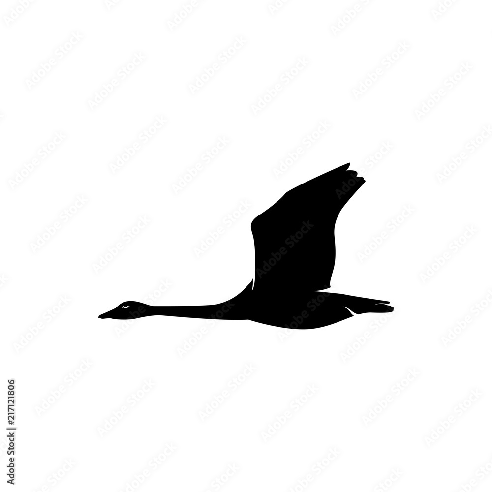 Swan Flying Outline