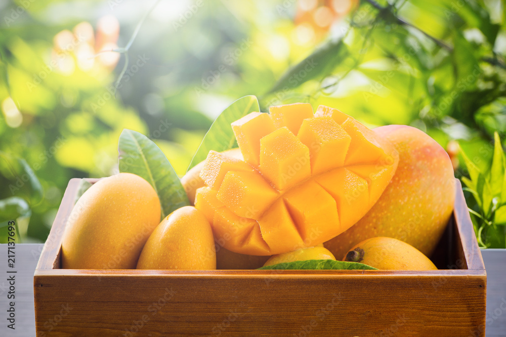 Fresh and beautiful mango fruit in a bamboo basket on nature ...