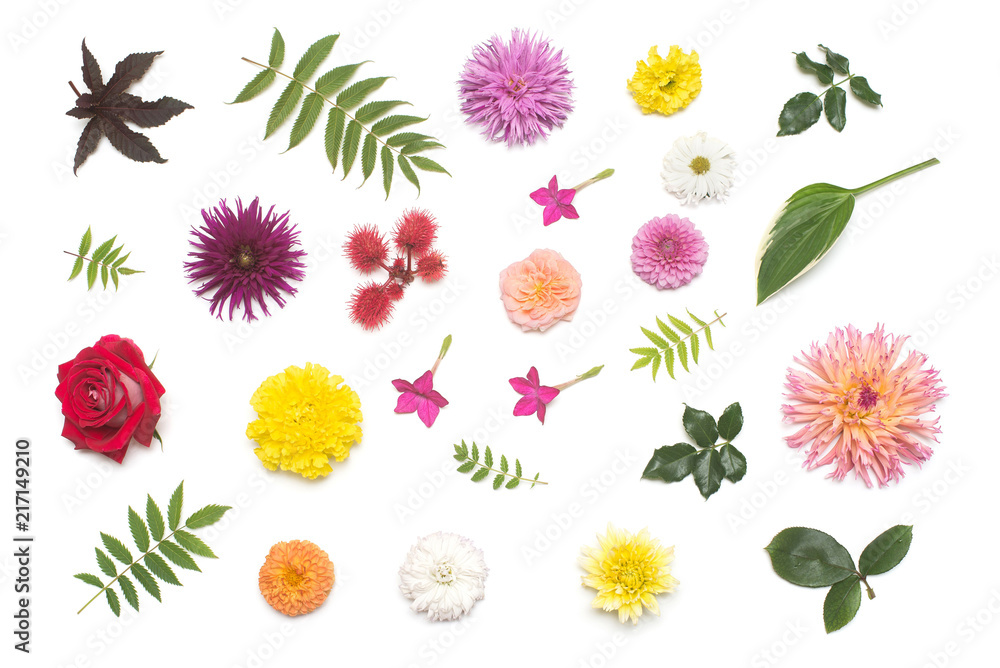 Flowers of roses, dahlias, tobacco, marigolds and leaves astilbe ...