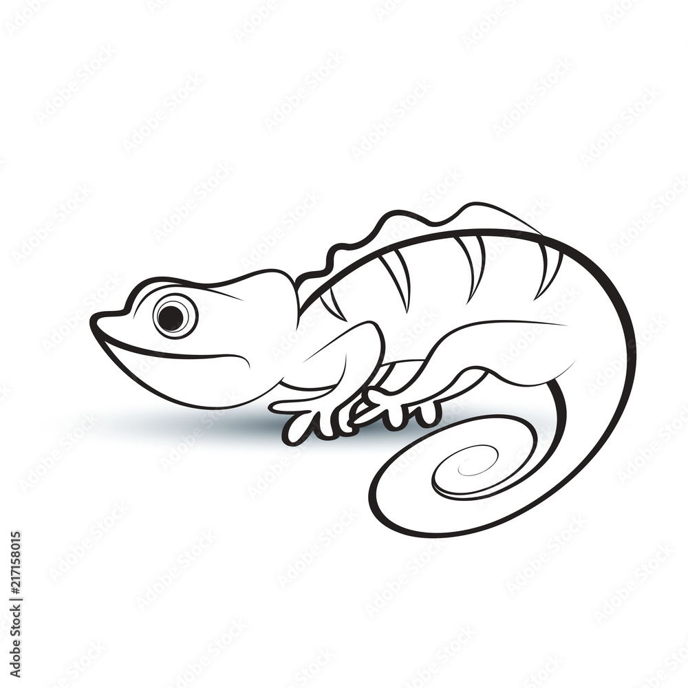 black outline chameleon on smooth shadow vector drawing Stock Vector ...