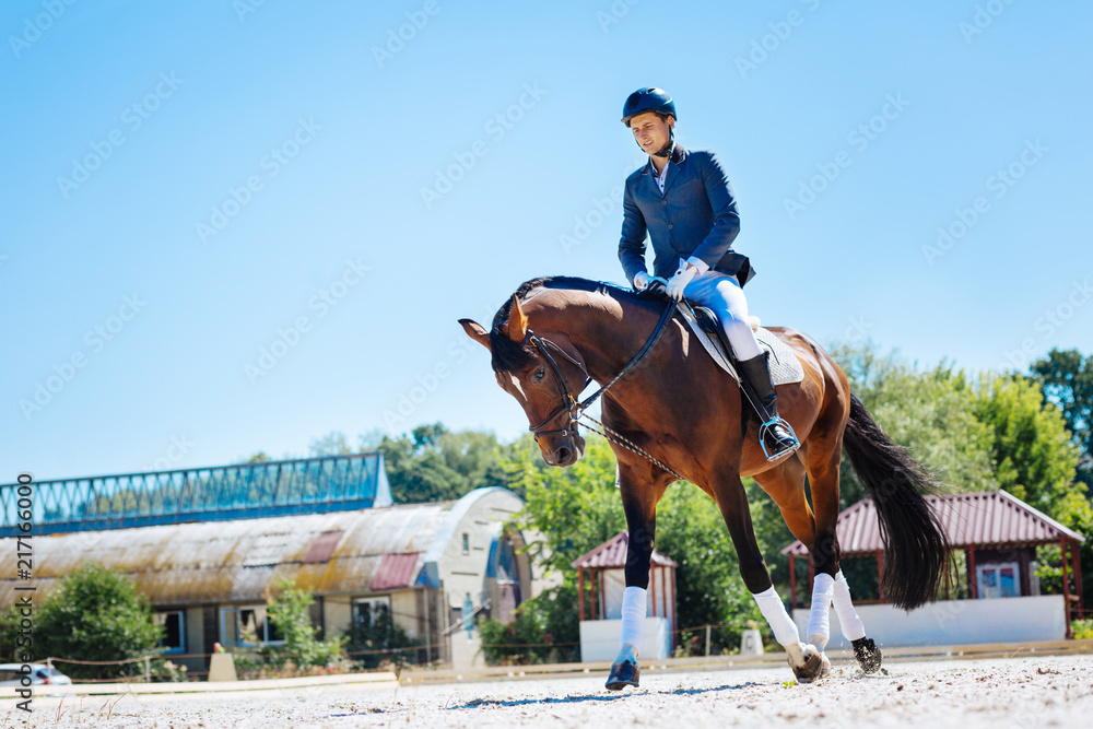 Promising equestrian. Young promising equestrian feeling extremely ...