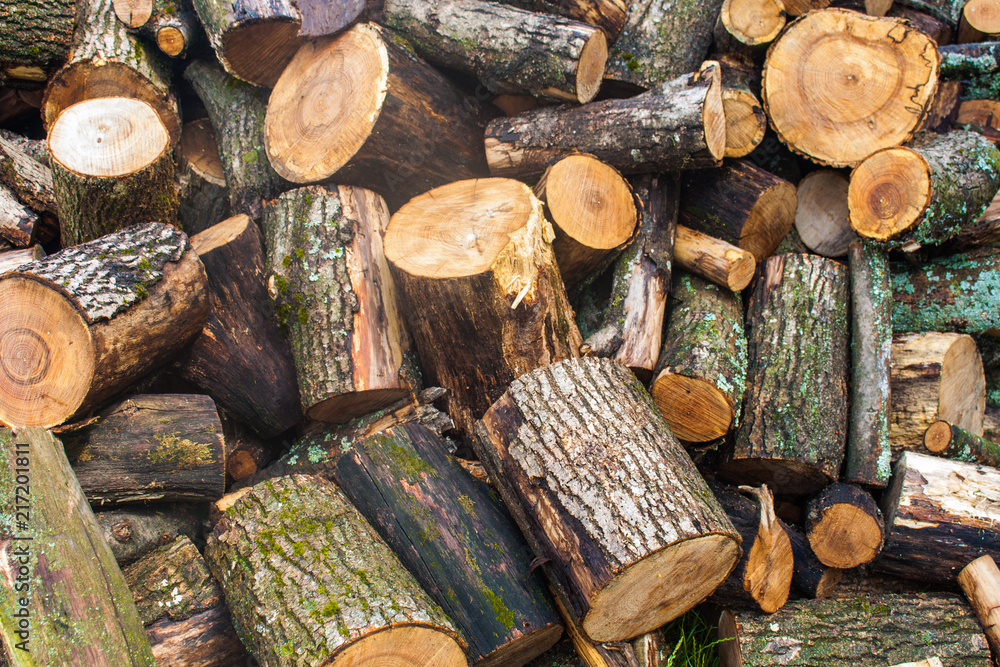 Wood Boards Pile