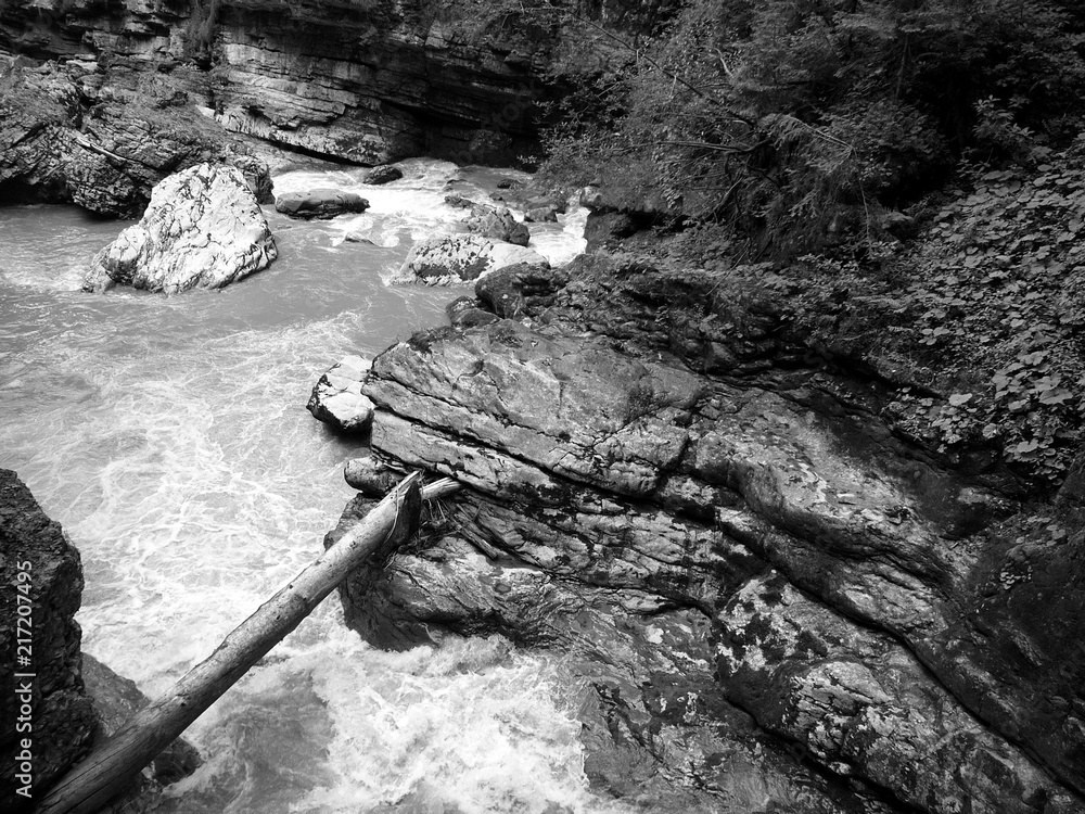 Umgestürzter Baumstamm in der Schlucht der Breitachklamm in Tiefenbach ...